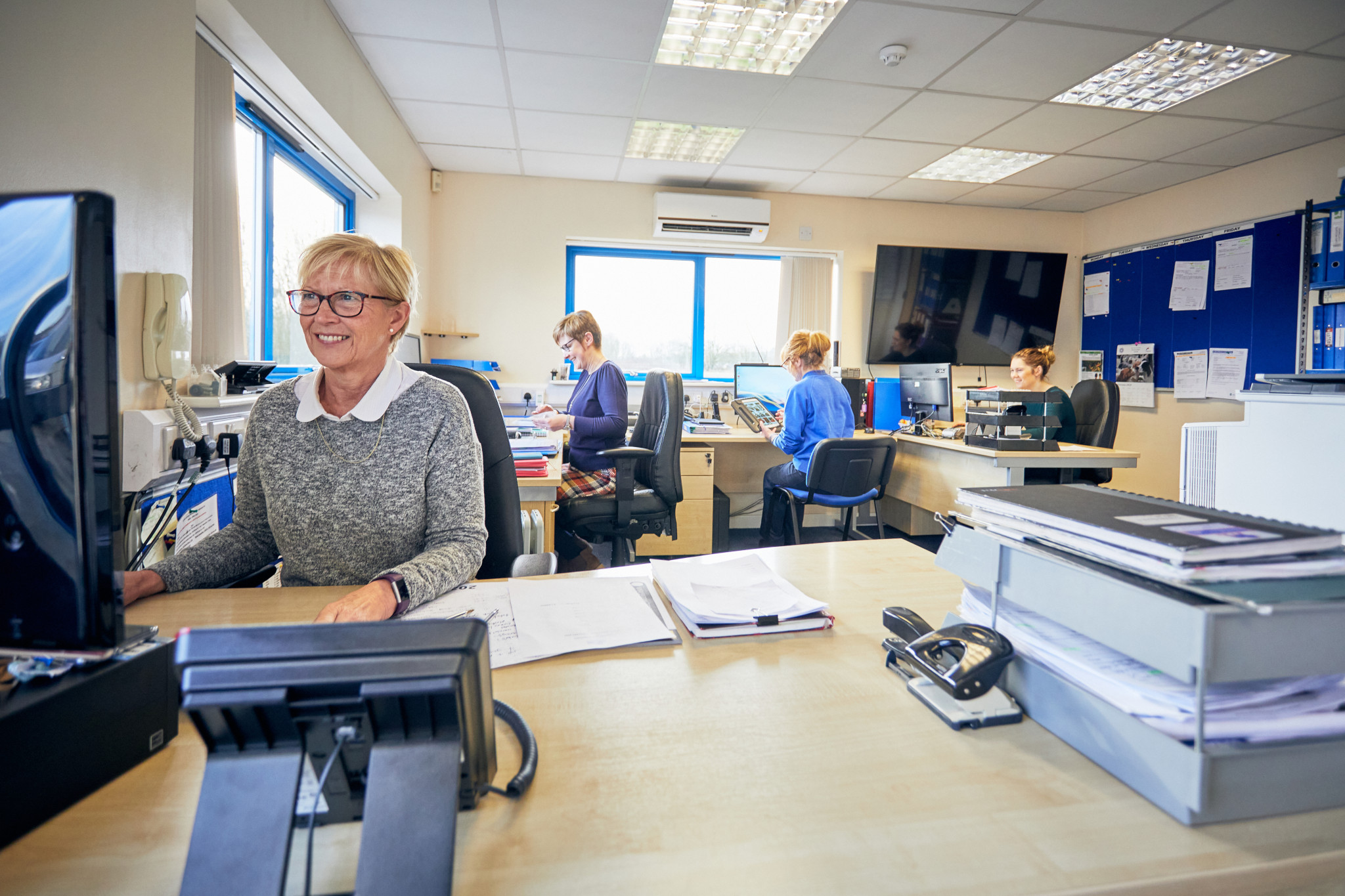 Enquiries - Leo Pest Control