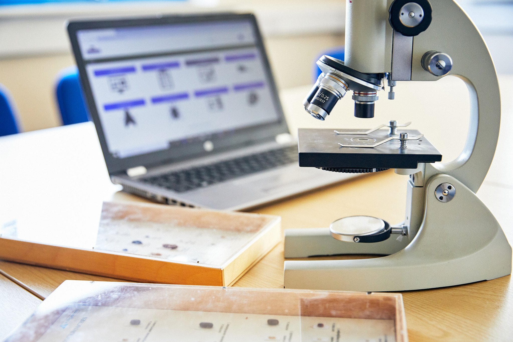 Services - Leo Pest Control